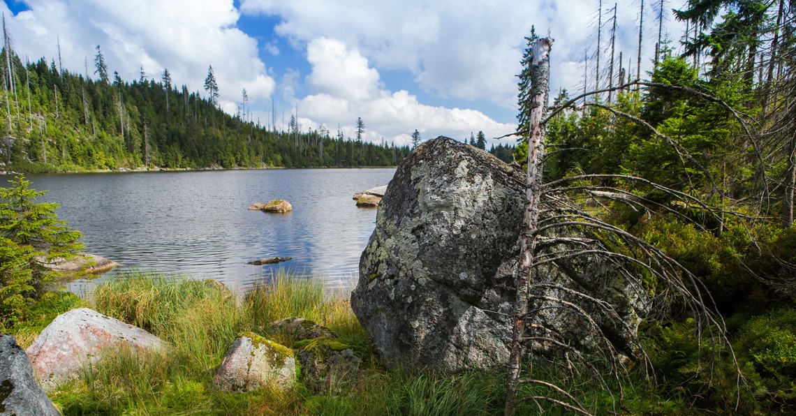 Tisková zpráva - 30 let NP Šumava | Národní park Šumava