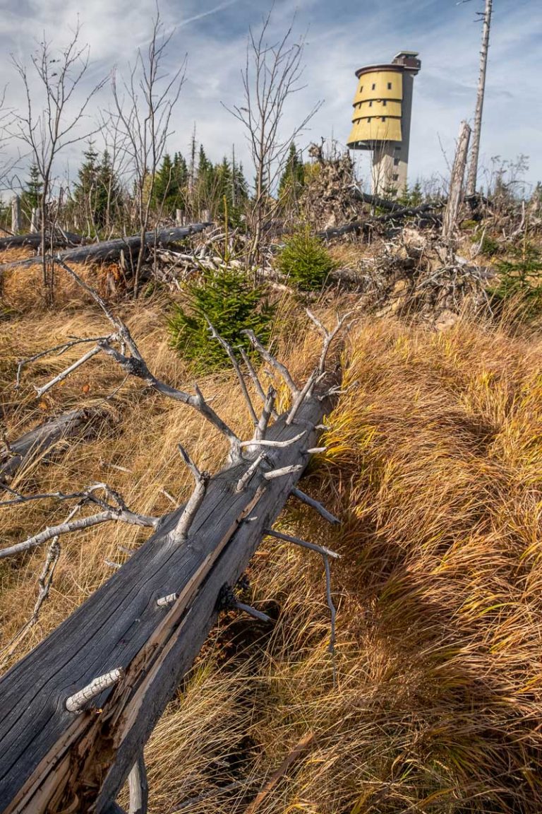 Informační středisko Poledník | Národní park Šumava