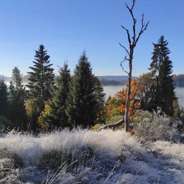 Národní park Šumava | Správa parku a chráněné krajinné oblast i