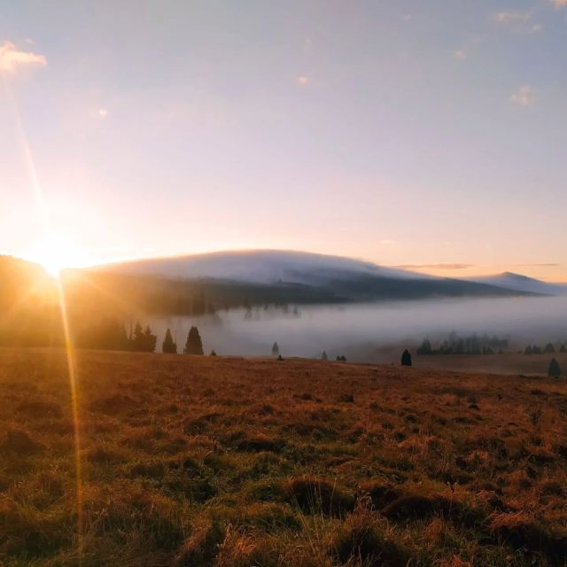 Národní park Šumava | Správa parku a chráněné krajinné oblast i